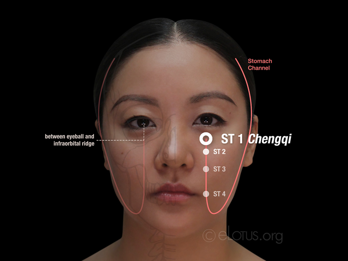 Chengqi (ST 1) | Master Tung's Acupuncture | eLotus CORE